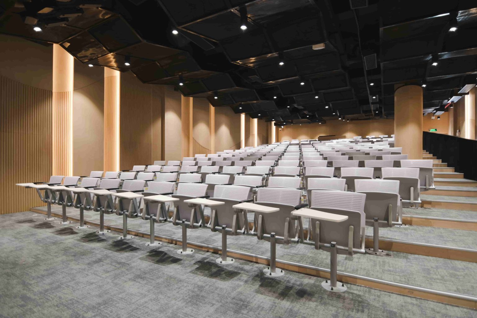 Impressive VSSS Auditorium Interior Design with Smart Acoustic Wall